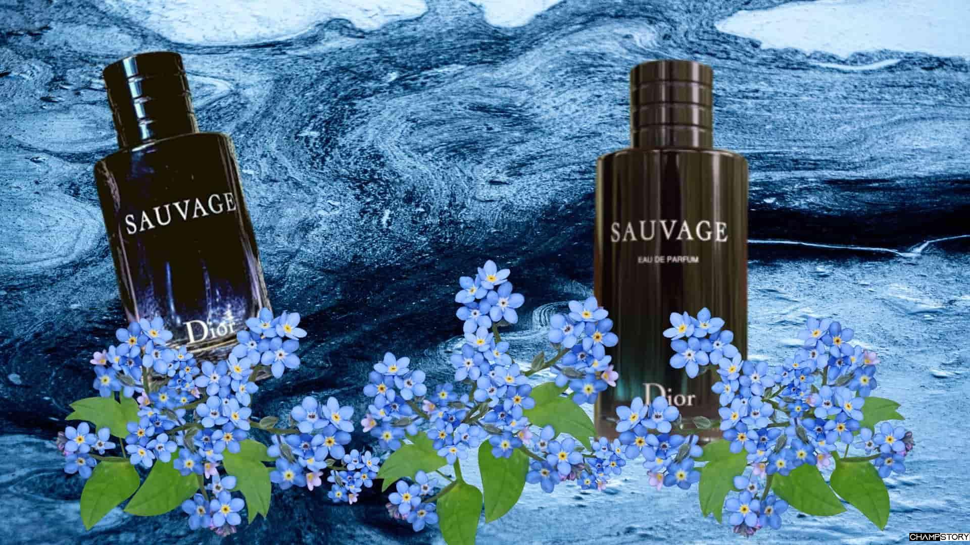 What Is Dior Sauvage? | Review of Dior Sauvage Dossier.Co. - Cherrybelle